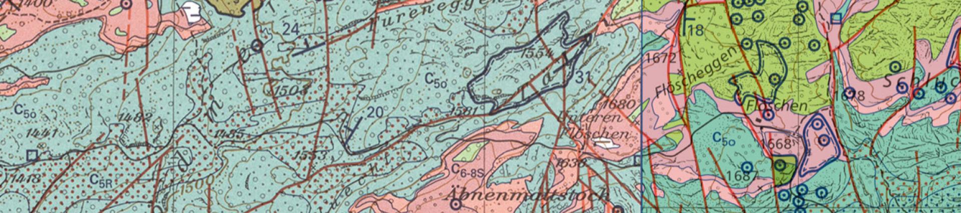 Swiss Geological Survey | swisstopo Online Shop